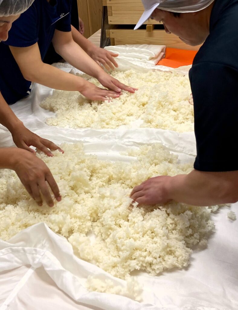 Sake Brewing Technician Training Course (17th term) | Fermentation and ...